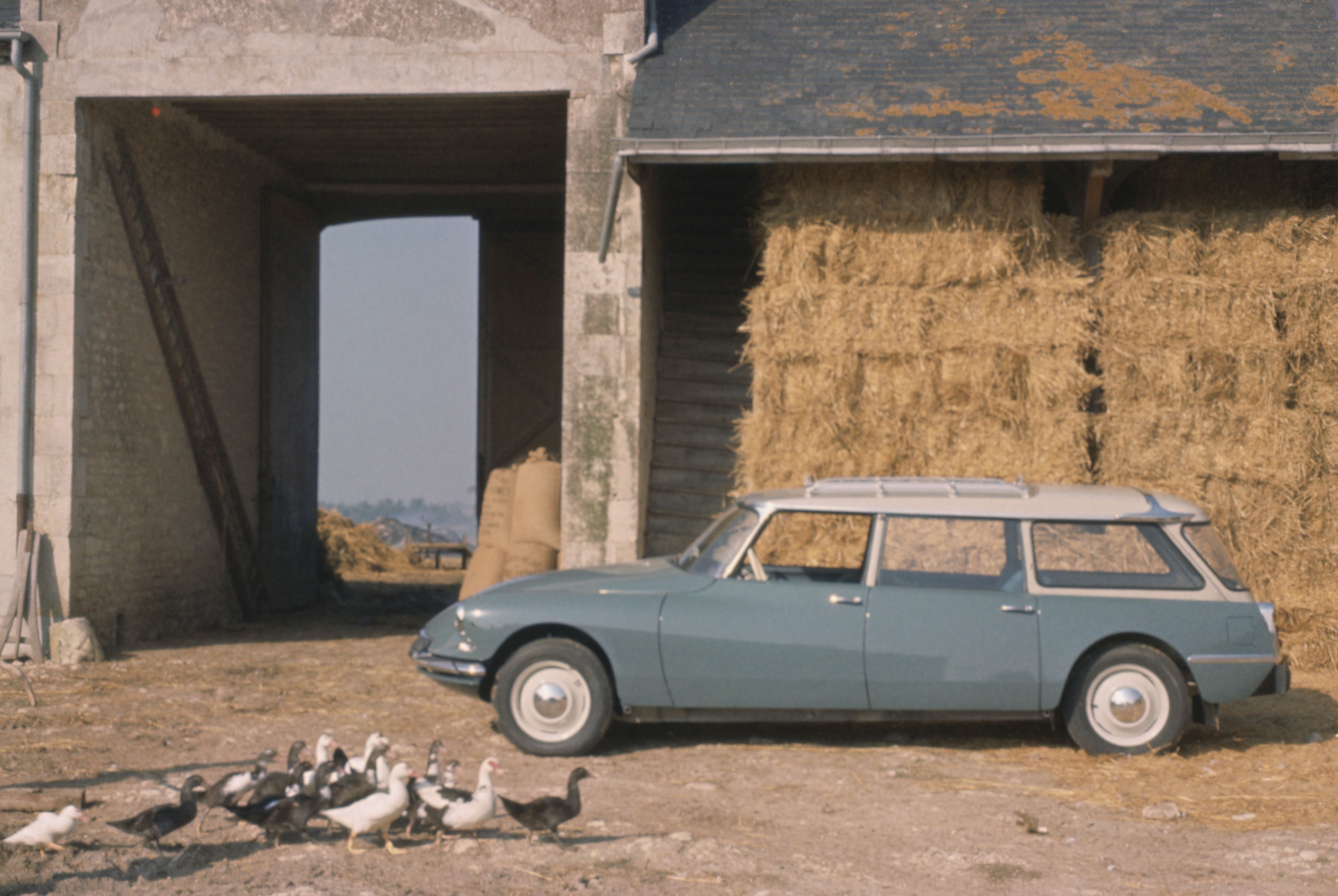 Citroën DS Break | radicalmag